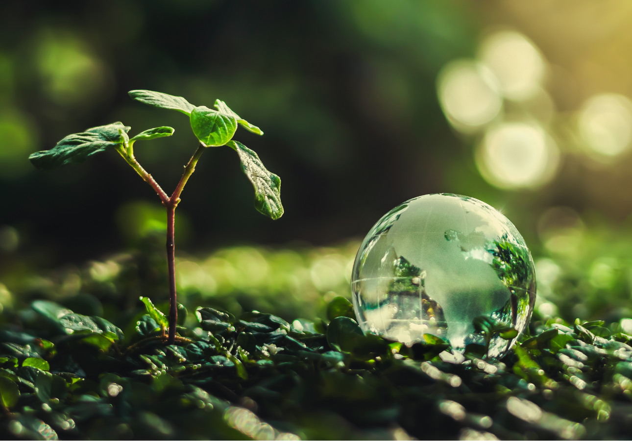 【SDGsとは？】企業が取り組むメリット・成功事例・導入手順を徹底解説 - OUTSENSE