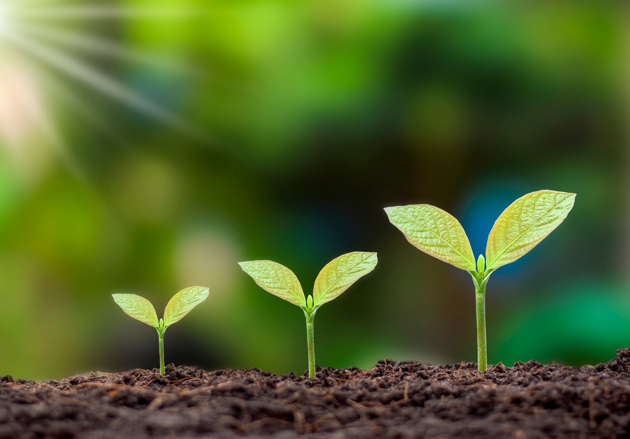 【SDGs時代の必須知識】ISO26000の概要・7つの原則・活用事例をわかりやすく解説！ - OUTSENSE